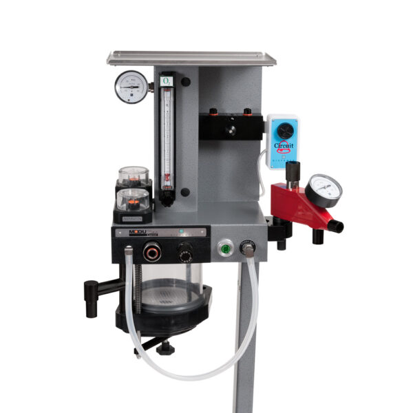 Feline Panleukopenia: Risk Factors, Prevention and Vaccines - Dispomed